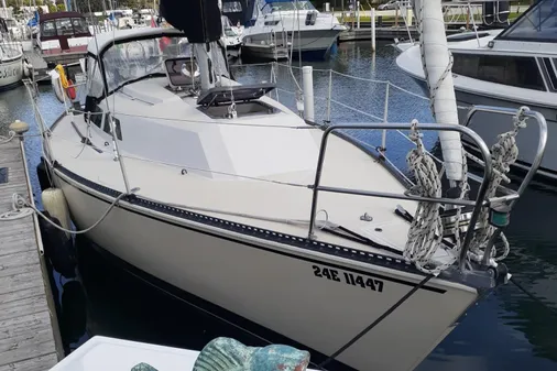 Used Sail Boats For Sale - Welcome to St Clair Boat Sales! in Canada